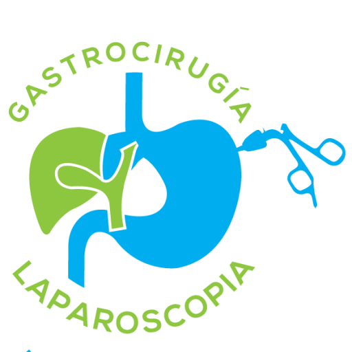cropped-gastrocirugia-laparoscopia-1000-x-1000-1.png | Dr. Germán ...